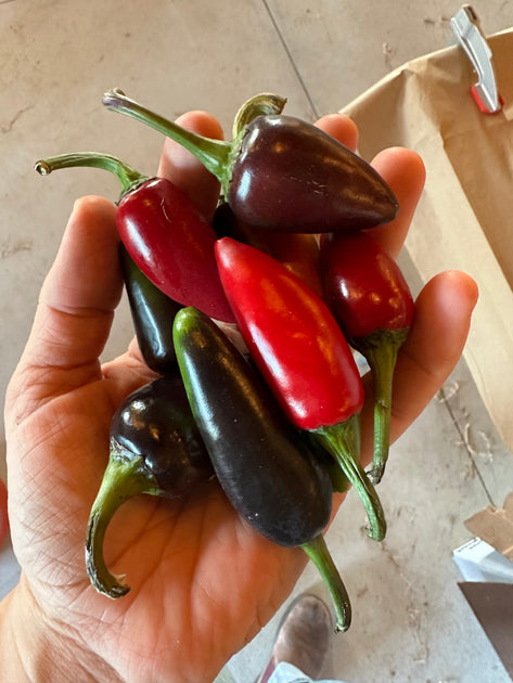 Pepper Pairings & Flavor Science – Homesweet Homegrown