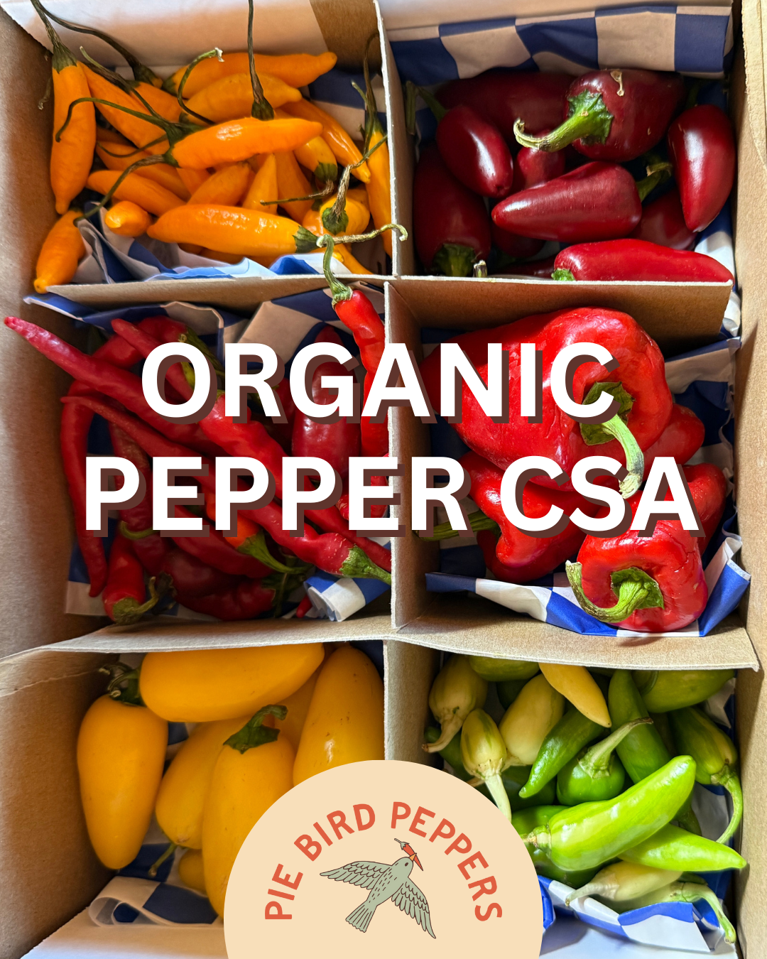 Fresh Peppers and Chili Gift Boxes: Experience the Rarest and Hottest ...